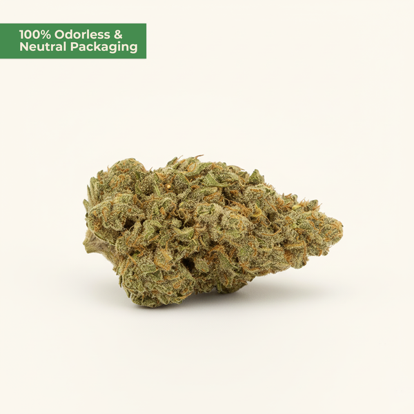 White Widow 9H-HHC Blüte 5g – Premium Hybrid | MYGREEN